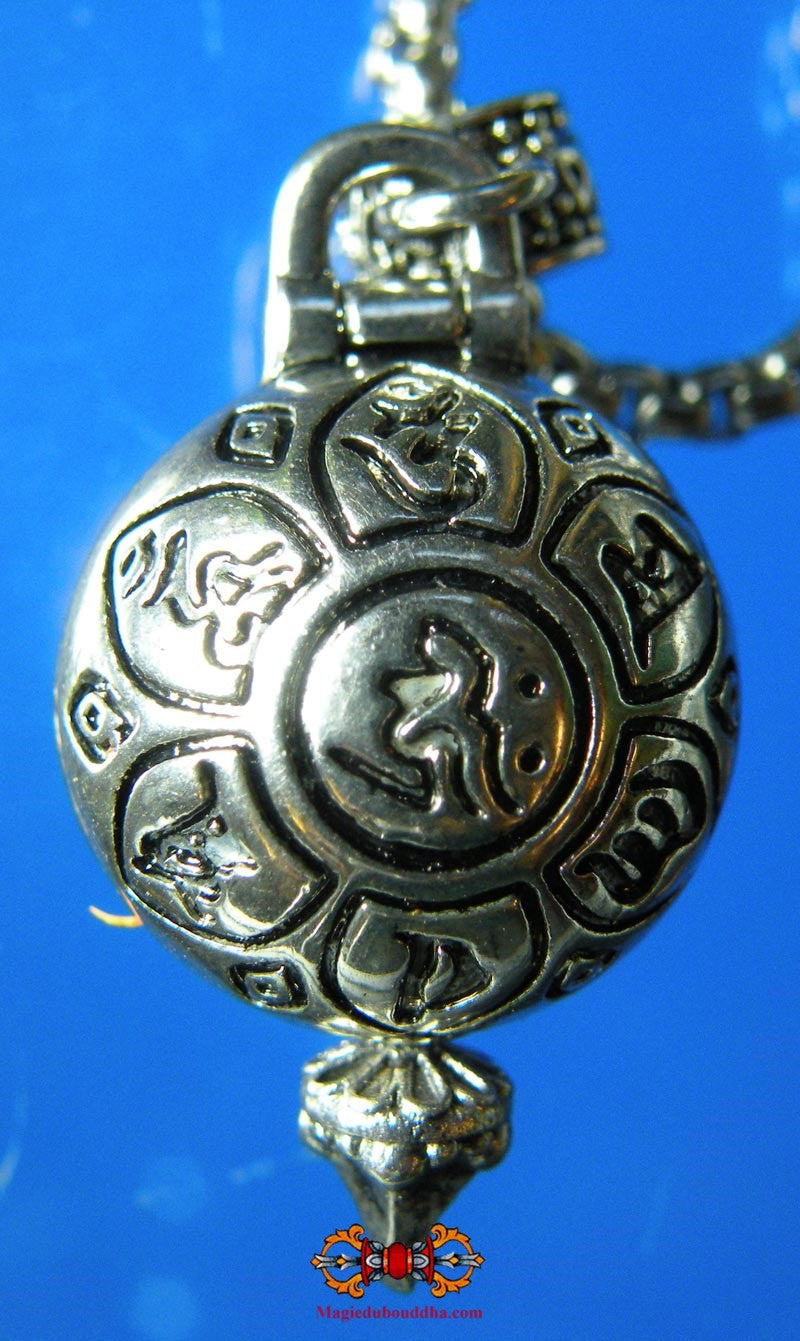 Pilule sacrée Tibétaine Sangye Menla Rilbu - Sa Sainteté le Dalaï Lama ...