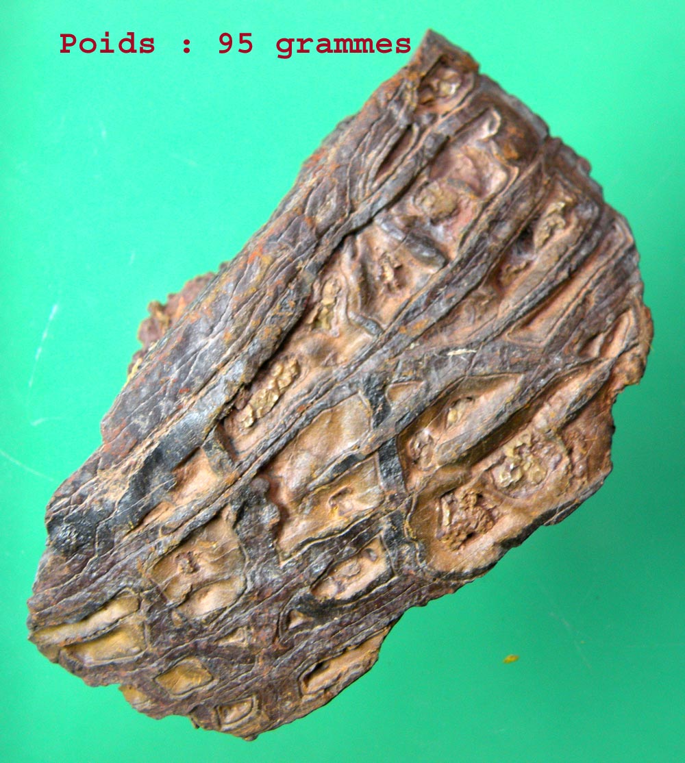 Pierres sacrées Tsésites - Ecritures des Djinns.| La Magie du Bouddha.