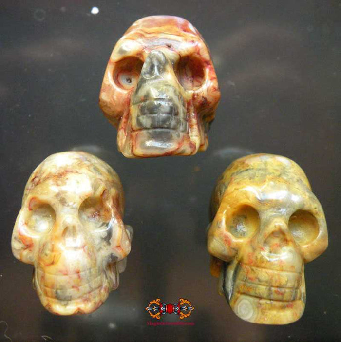 Crâne humain taillé dans du bois fossile.| La Magie du Bouddha.